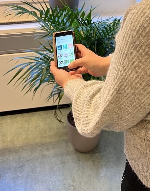 Min hverdag - fotoutstilling på nett - Seniornett Norge